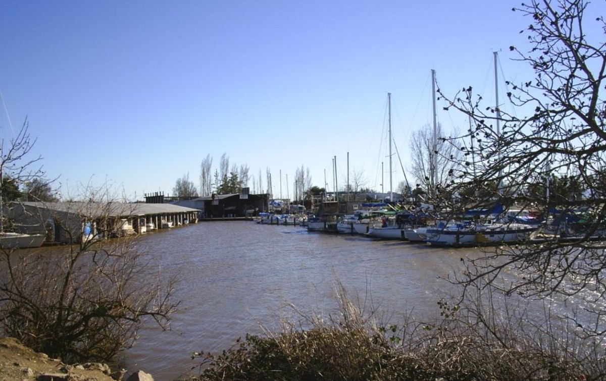 Ladd's Stockton Marina | Visit Stockton