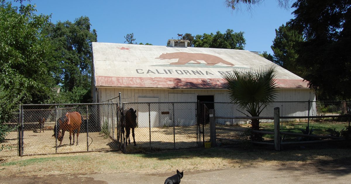 Jack Tone Ranch | Visit Stockton
