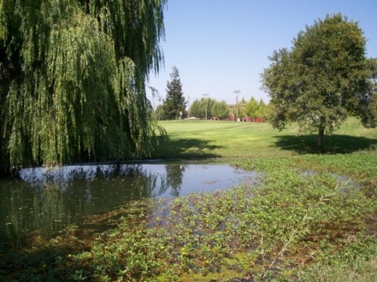 Micke Grove Golf Links | Visit Stockton